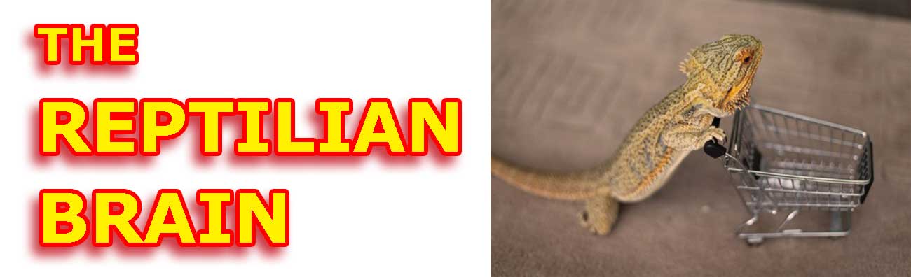 The Reptilian Brain - The Key to Understanding Shopper Behavior